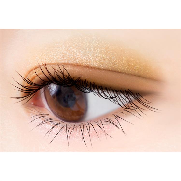 EXCEL 極致真實服裝眼影 CX01 質感流蘇穆勒 1個 日系光澤感、百搭大地色系新手必收 – EBISU恵比壽日藥直送